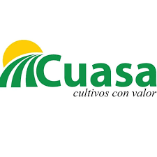 Cuasa de Honduras - ppfam.com