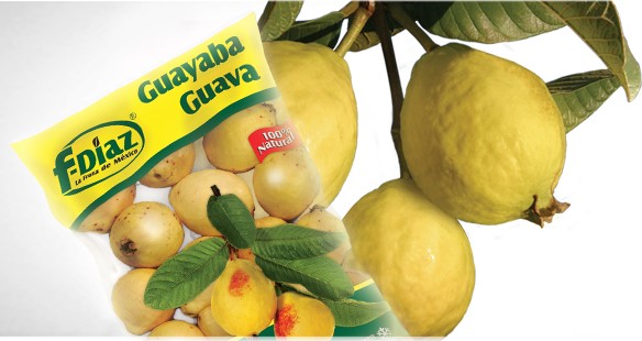 Guayaba en F-Díaz de México de México - ppfam.com