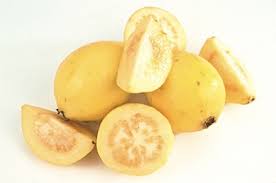 Guayaba en F-Díaz de México de México - ppfam.com