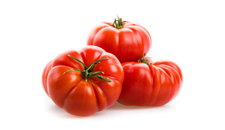 Tomate en CASI - Cooperativa Prov. Agraria y Ganadera San Isidro de ...