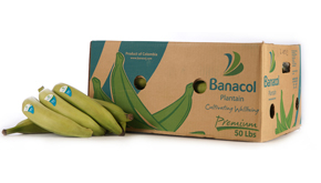 Banacol de Costa Rica, S.A de Costa Rica - ppfam.com