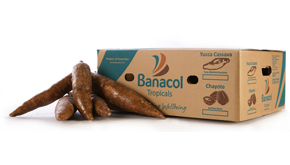 Banacol de Costa Rica, S.A de Costa Rica - ppfam.com