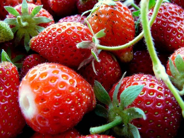 Asociación Nacional de Exportadores de Berries (ANEBERRIES) de México ...