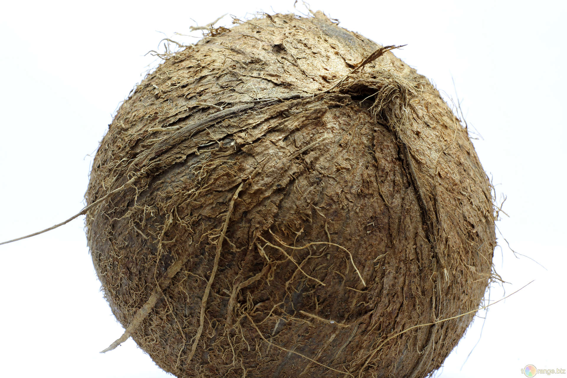 Empacadora Agrícola del Centro de México - ppfam.com