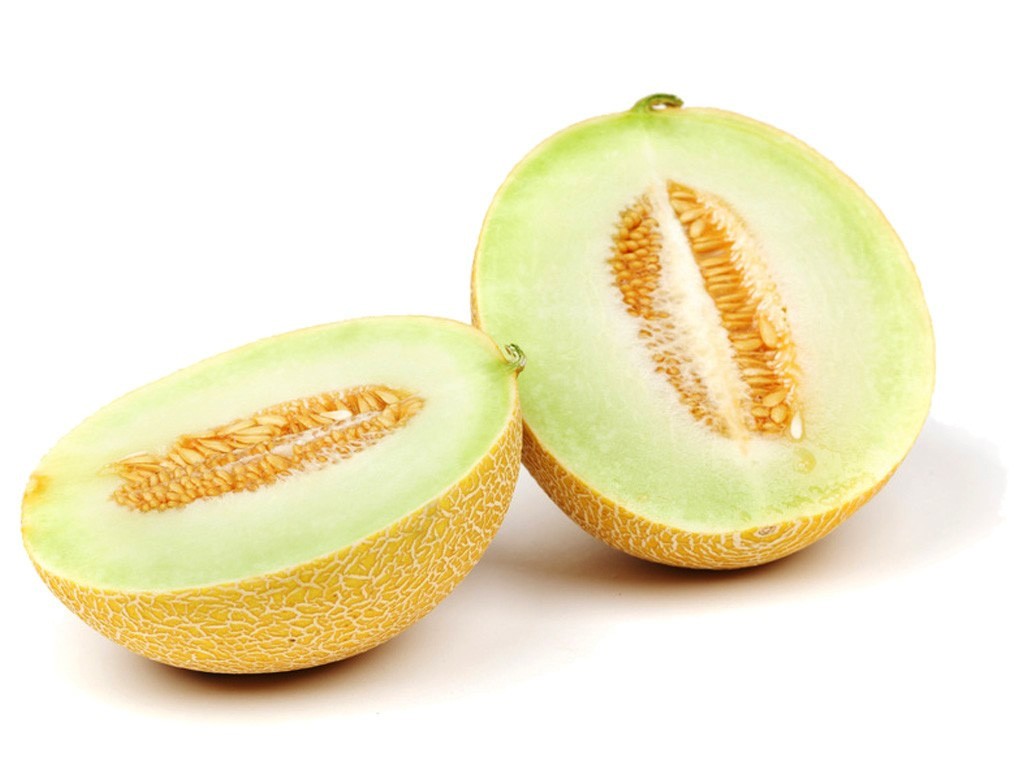 Felipe de Jesús Michel Ruíz (Michel Melons) de México - ppfam.com