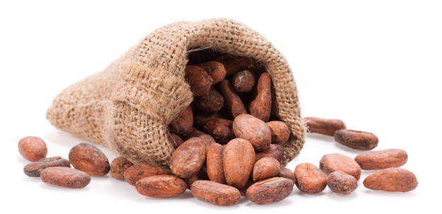 RISTOKCACAO S.A de Ecuador - ppfam.com